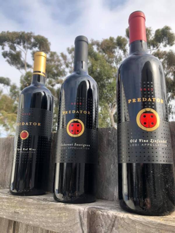 On Predators and Patriots, Ladybugs and BBQ | wine predator ...