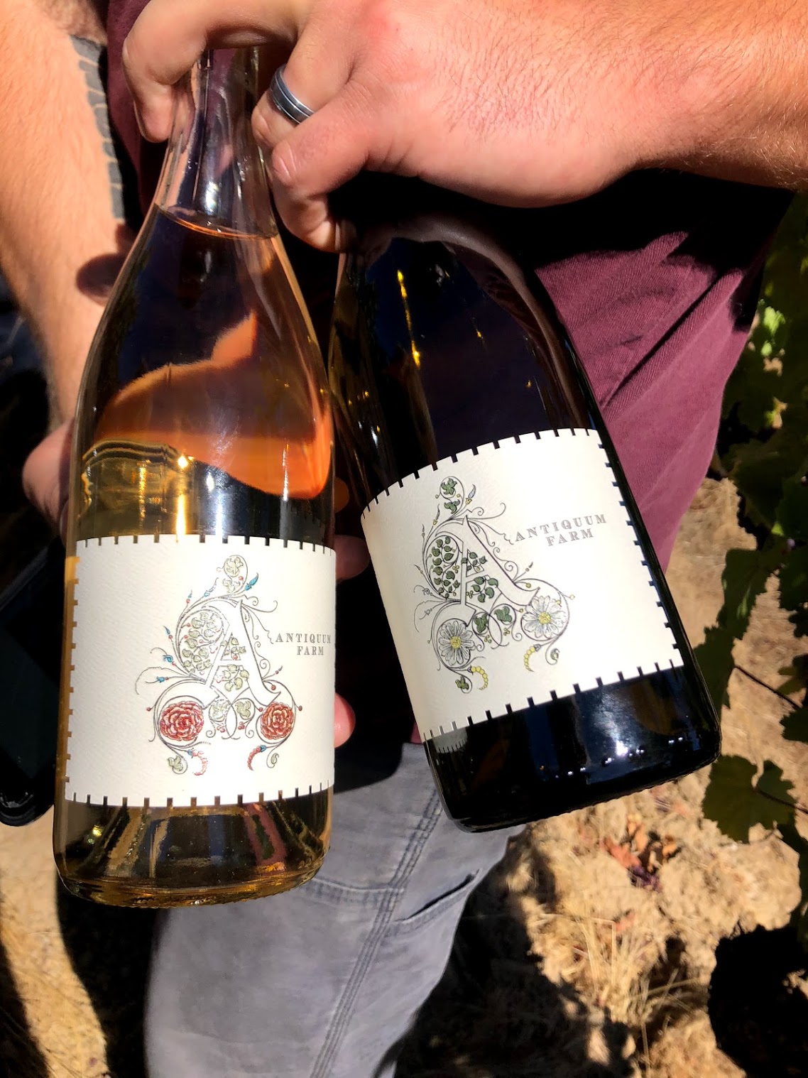 Ramato, the copper colored “orange” wine of Italy — and Oregon! # ...